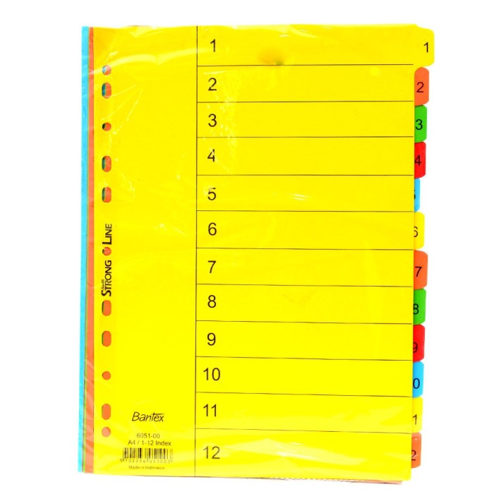 Jual Pembatas File Divider Bantex 6051